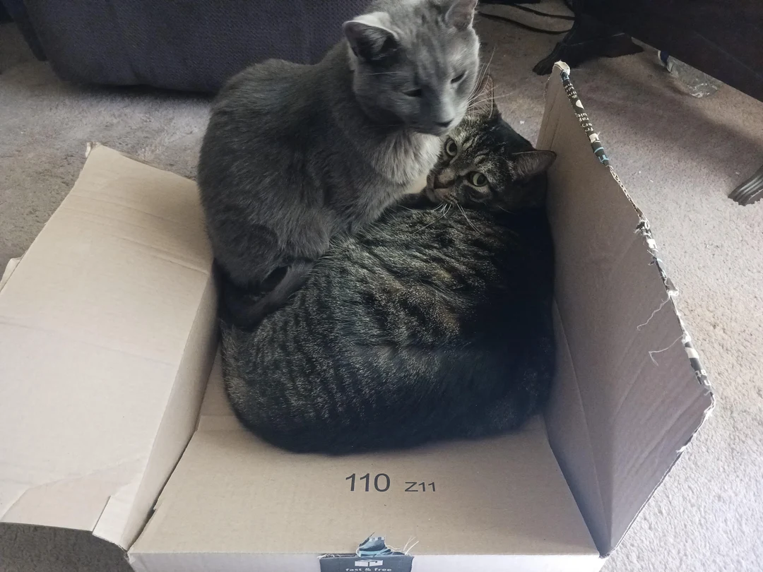 Double Trap | Scrolller