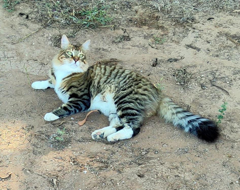 Bird watching. | Scrolller