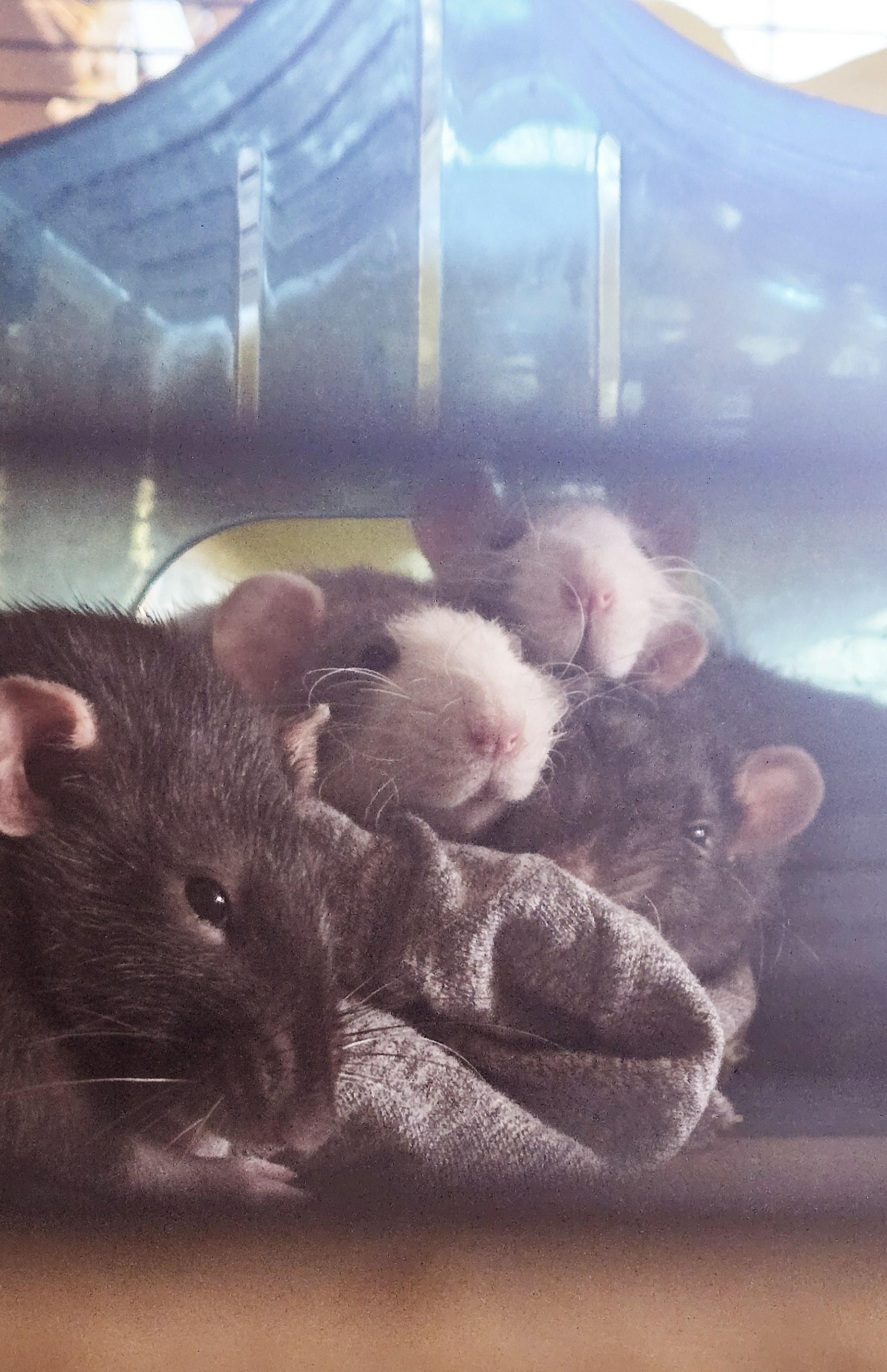 Welcome to the eepy pile | Scrolller