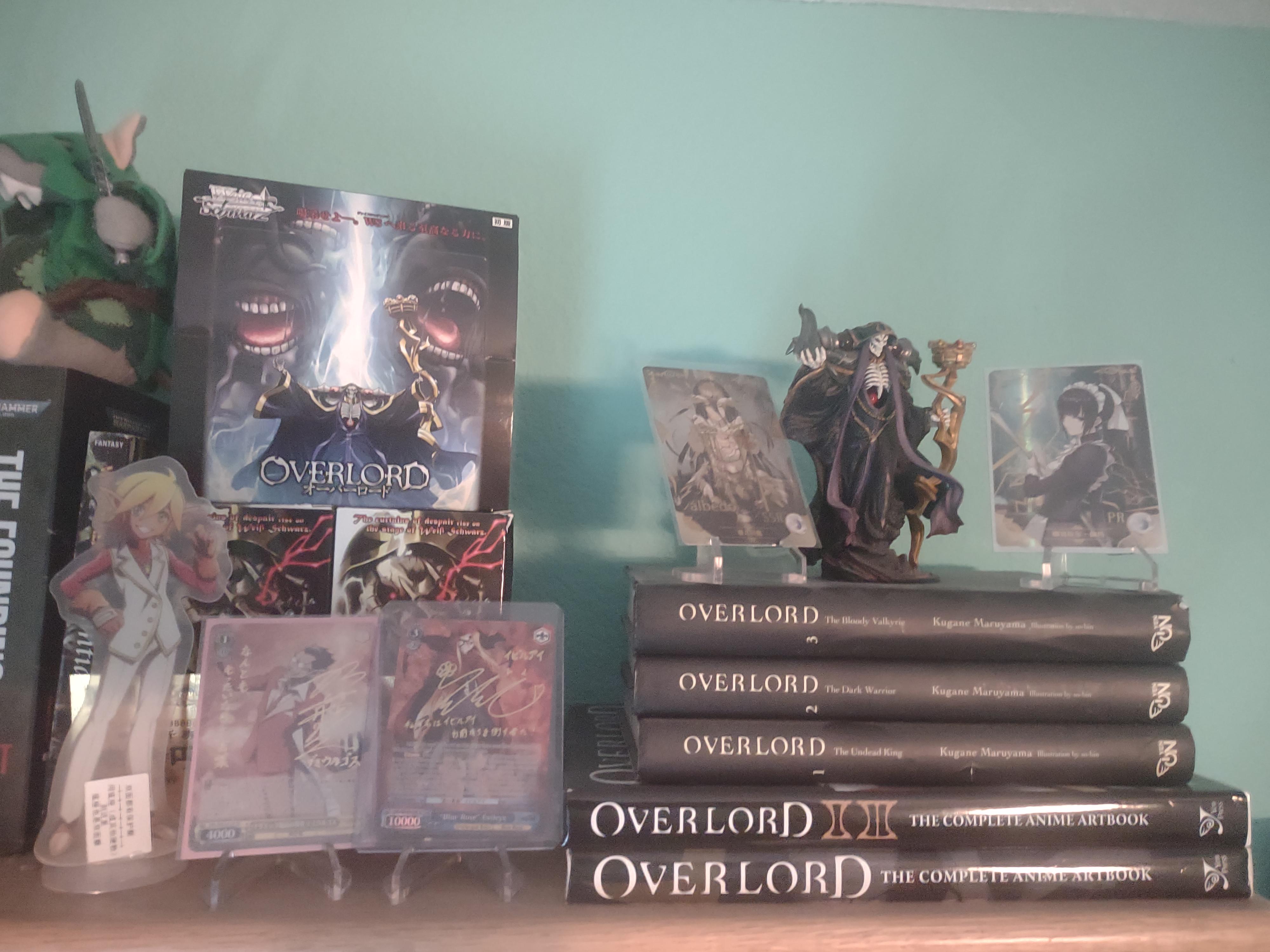 My finished overlord collection | Scrolller