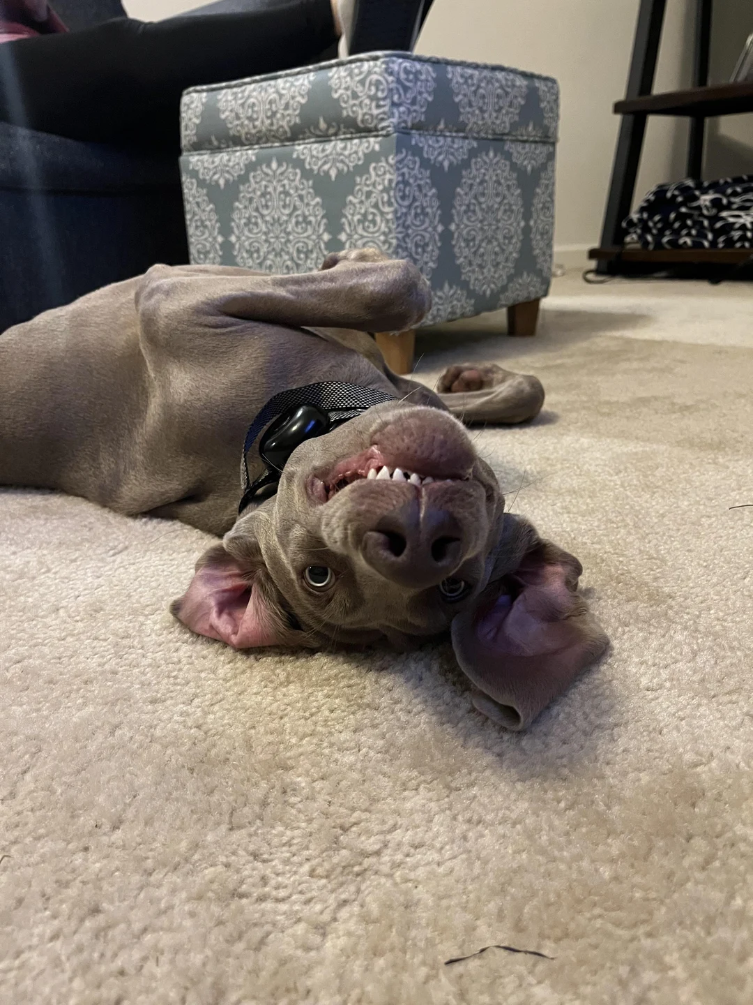 She’s broken | Scrolller