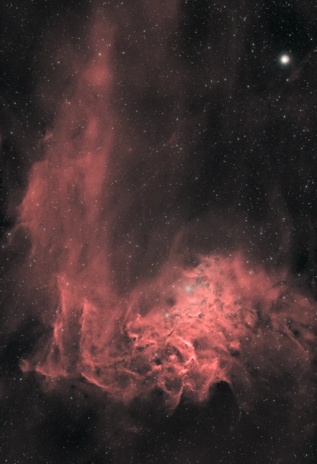 The Flaming Star Nebula | Scrolller