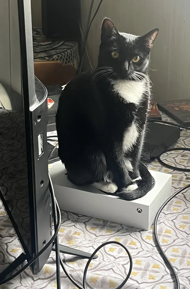 Free heater | Scrolller