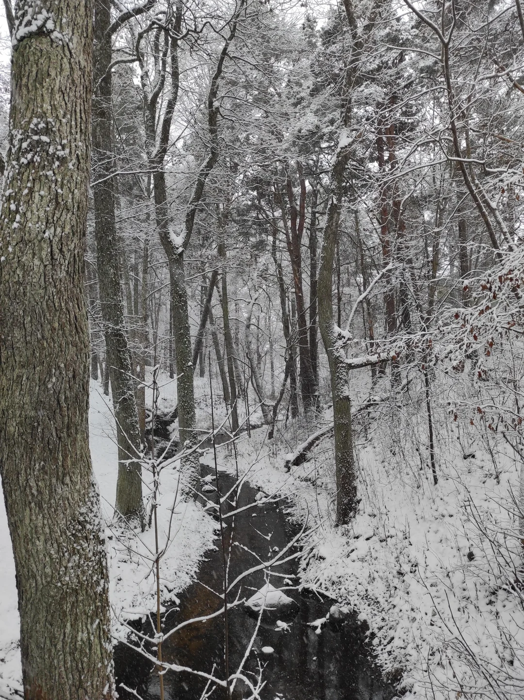 Winter landscape of river in Latvia | Scrolller