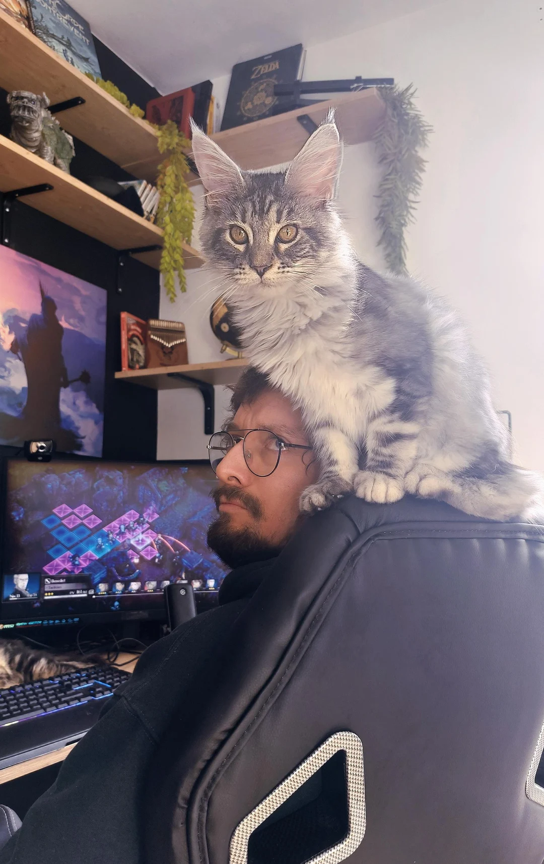 Are you focused? Too bad. | Scrolller