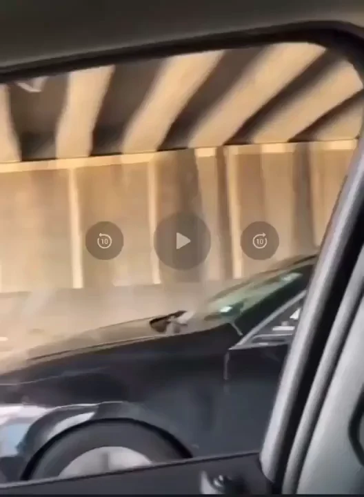 Twerking on top of a moving car on a highway | Scrolller