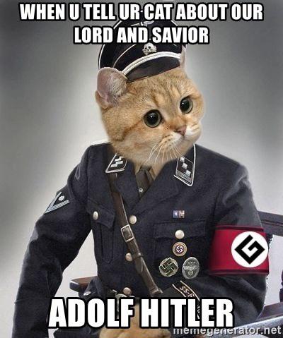 Brian look at this | Scrolller