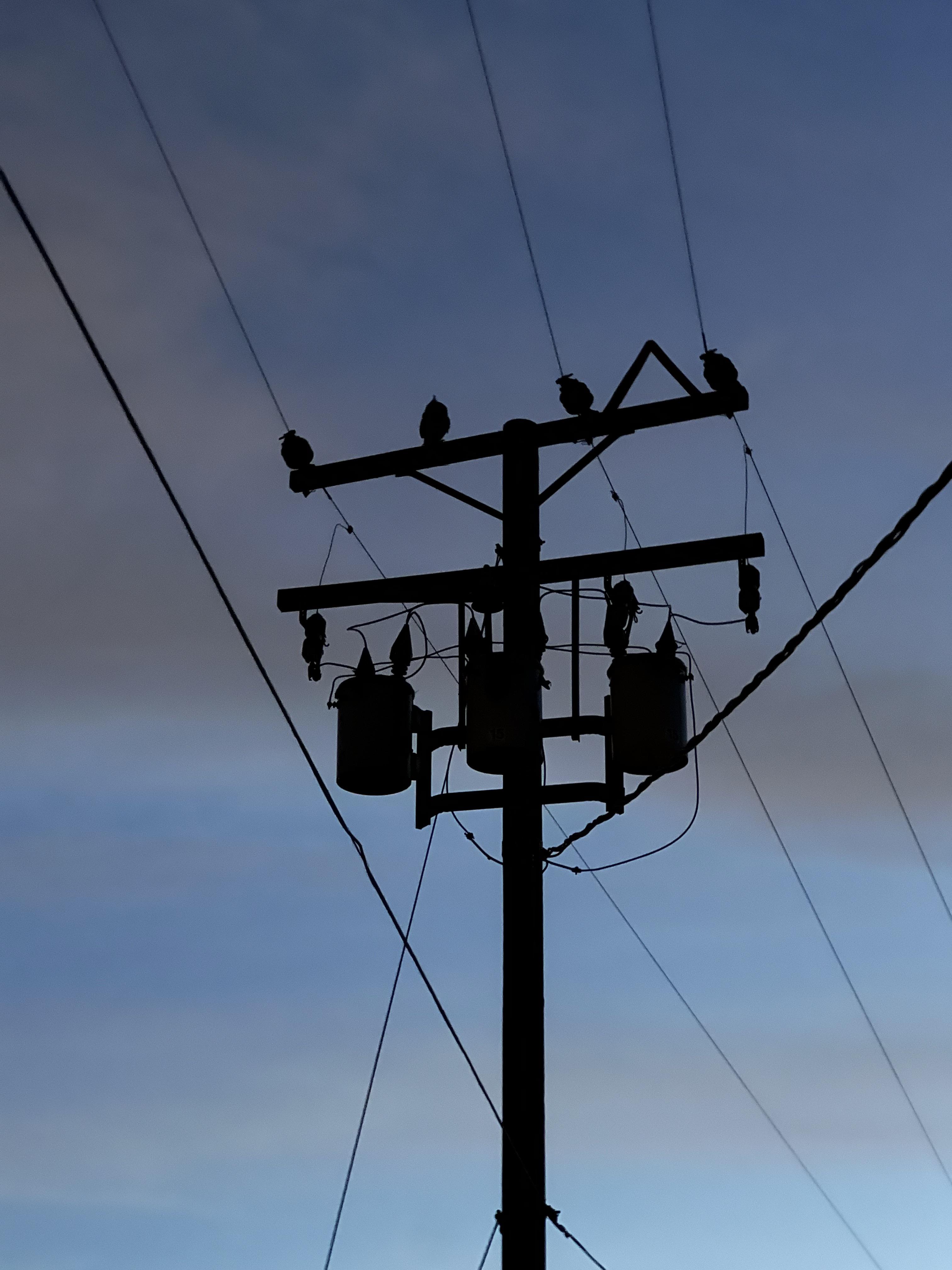 One of these transformers is an owl. | Scrolller