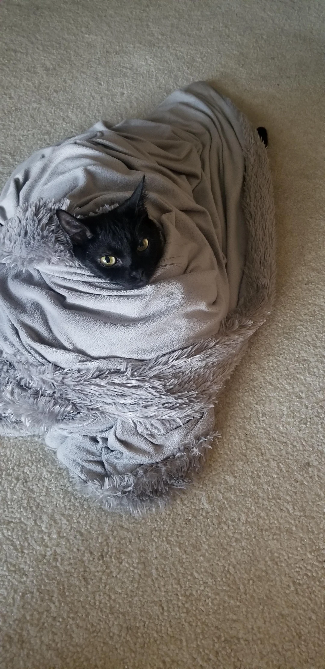 The dot. | Scrolller