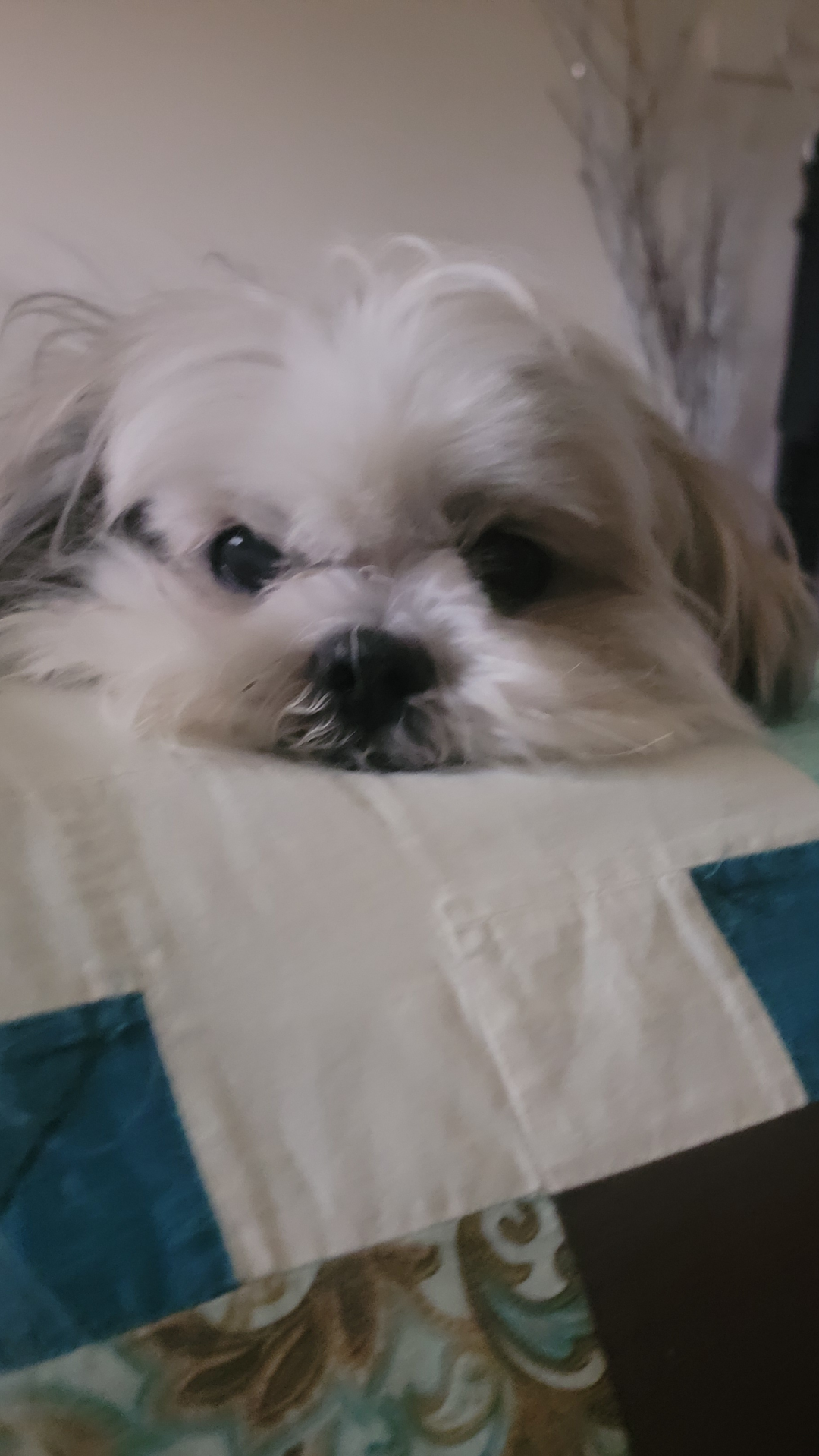 Full recovery | Scrolller