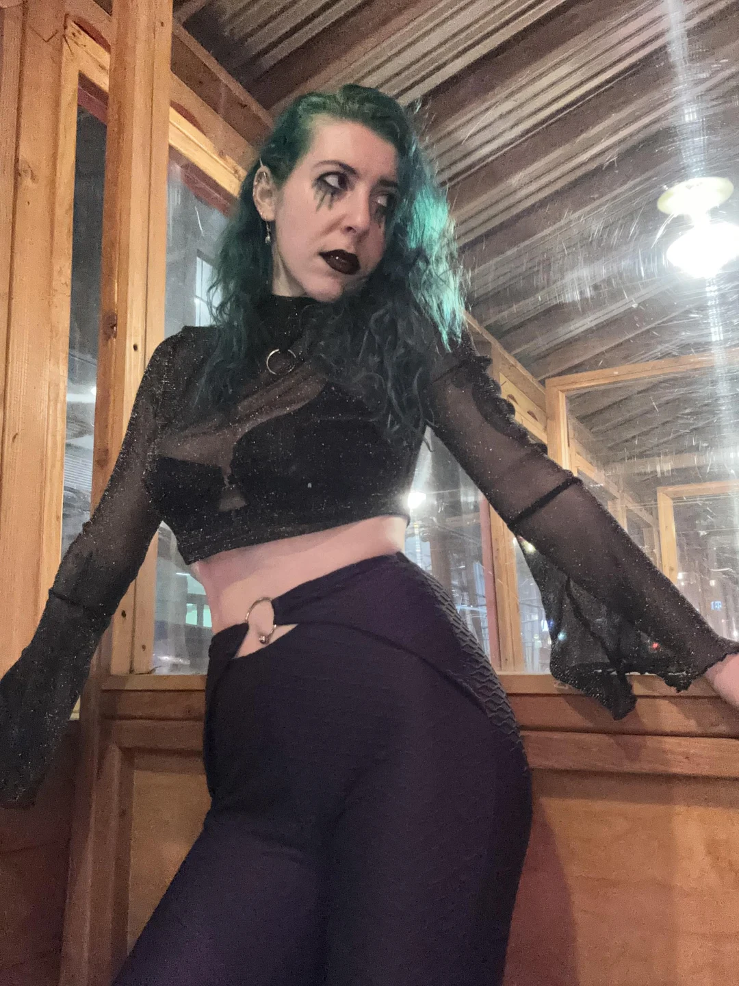 Mesh crop top | Scrolller