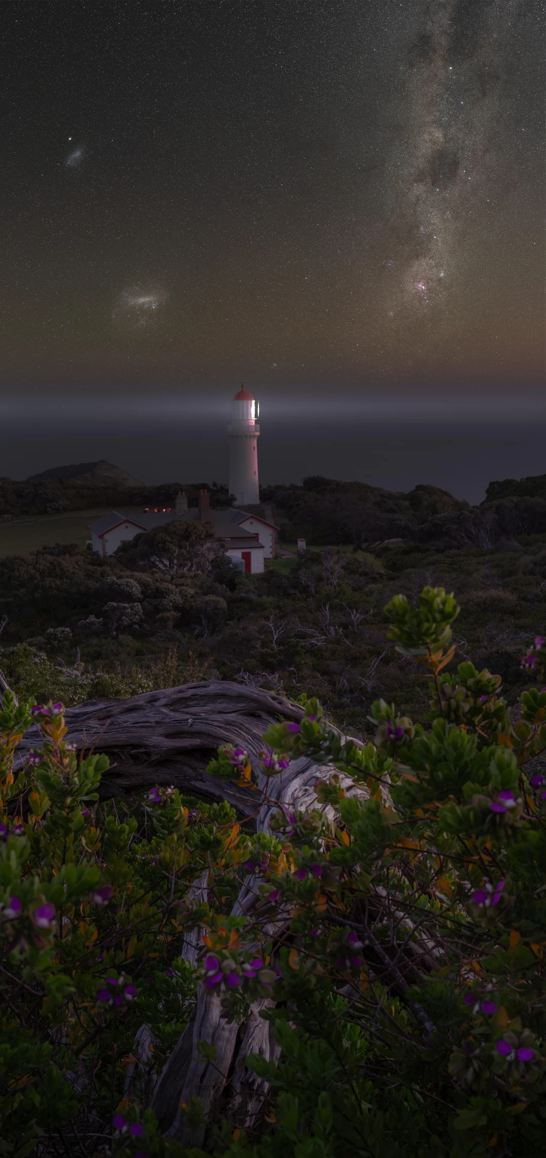 The South Pole (Celestial one) from Cape Schanck, Victoria. [4000x8473] [OC] | Scrolller