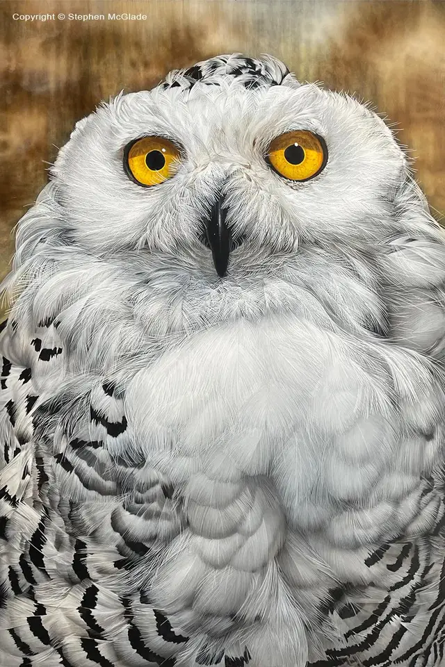 Feathered Ghost, Me, Acrylic painting, 2023 | Scrolller