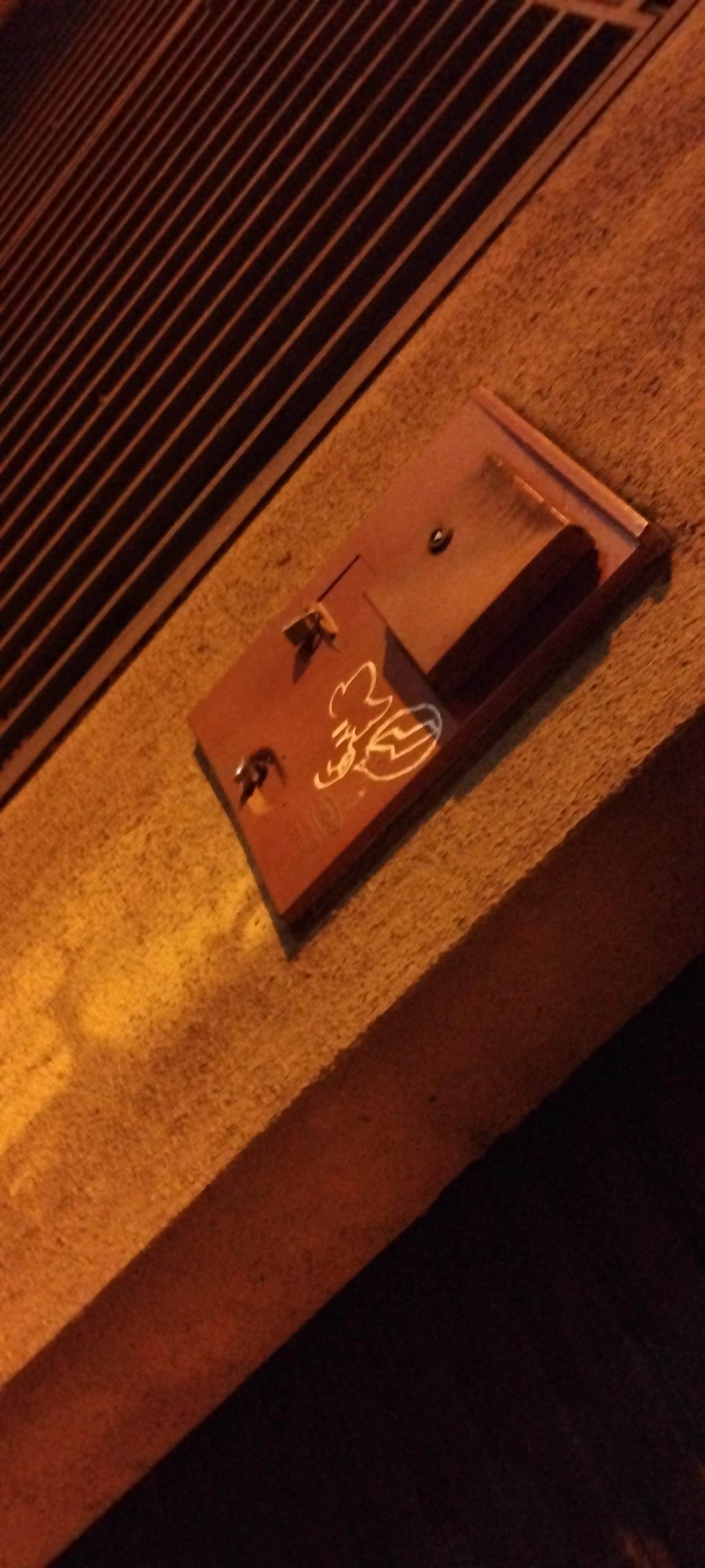 Furry⚡irl | Scrolller