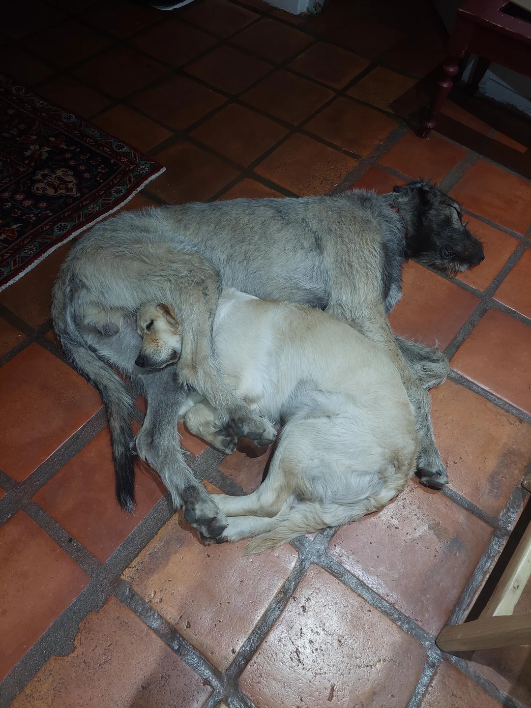 strange sleeping arrangements | Scrolller