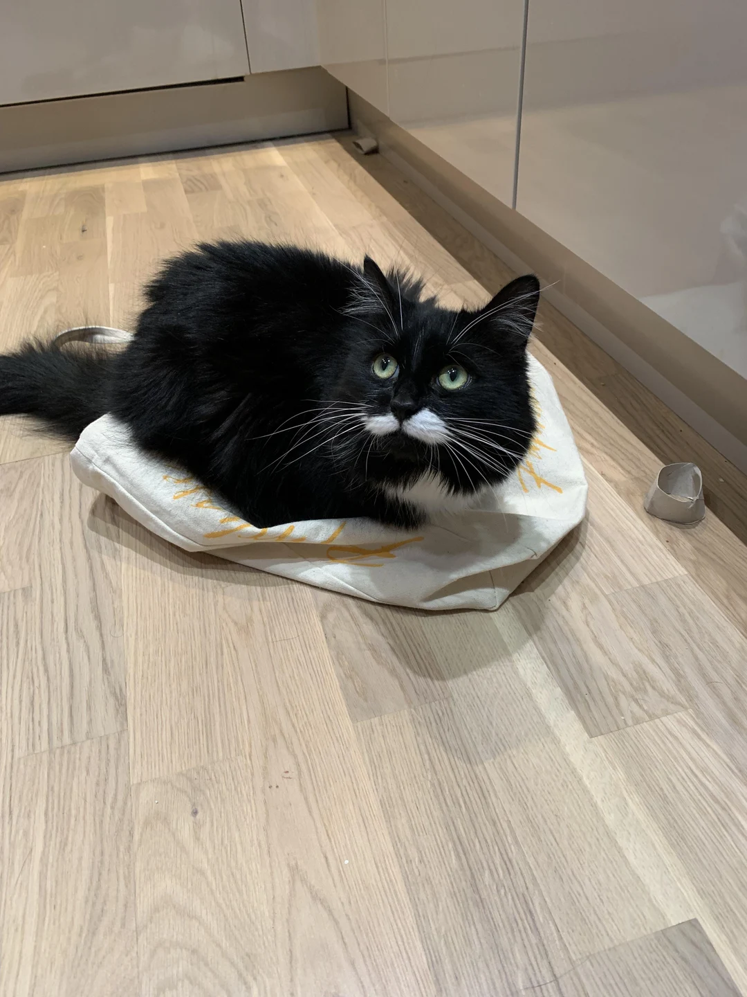 It worked | Scrolller