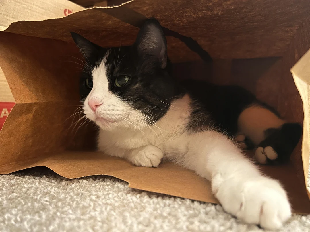 Bagged another one! | Scrolller