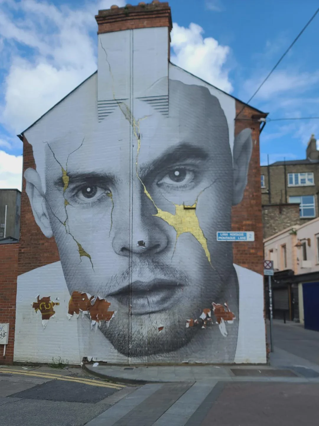 Montague Lane, Dublin | Scrolller