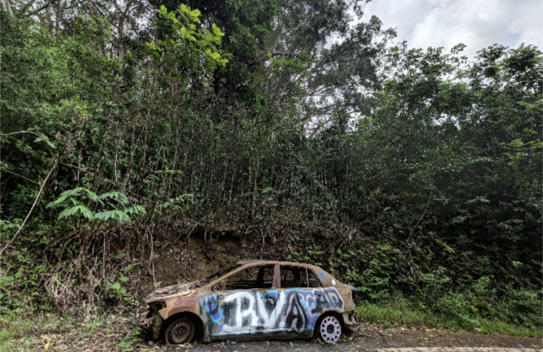 Maui Road to Hana | Scrolller