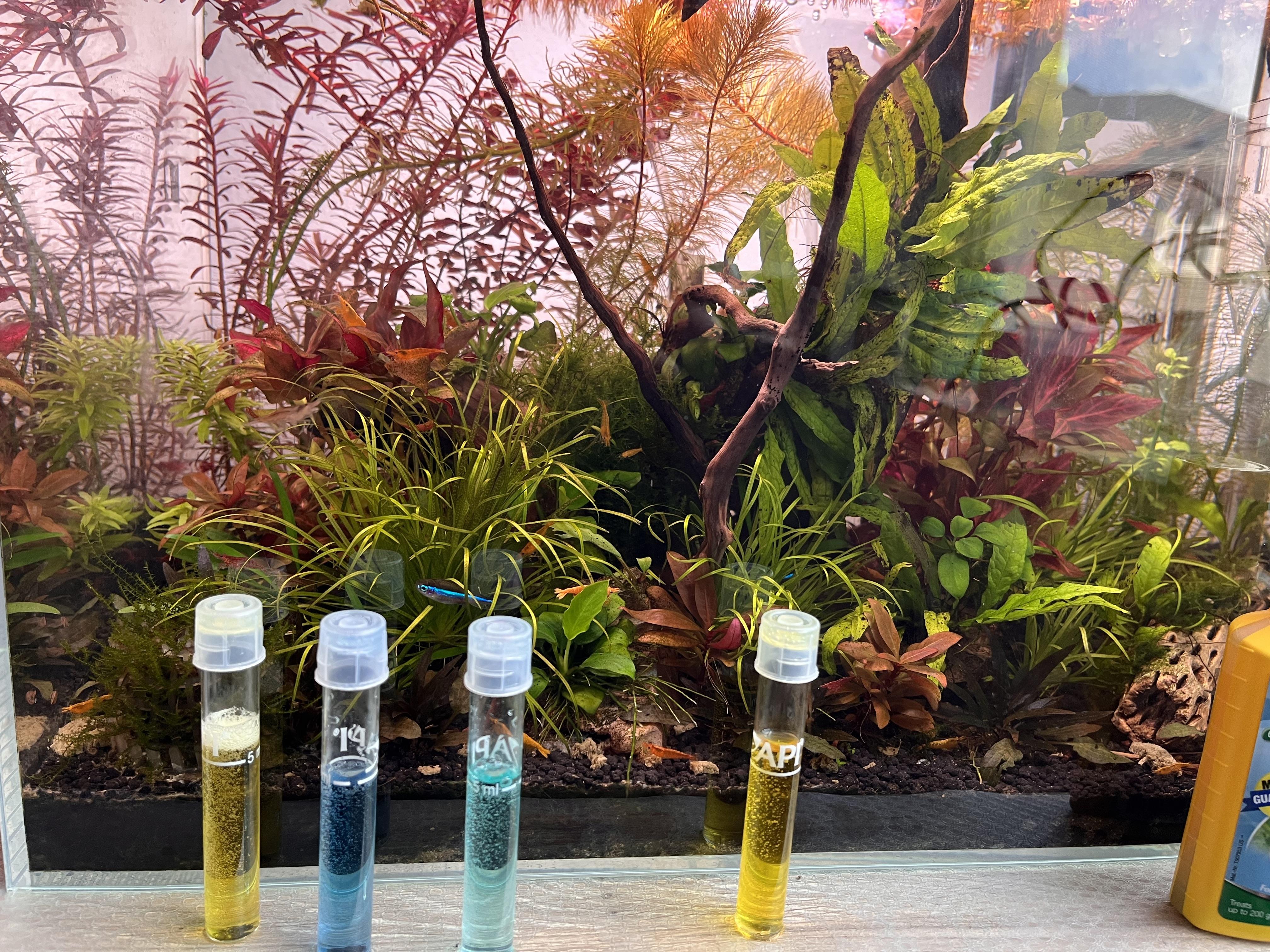 This is the longest I’ve done a water change | Scrolller