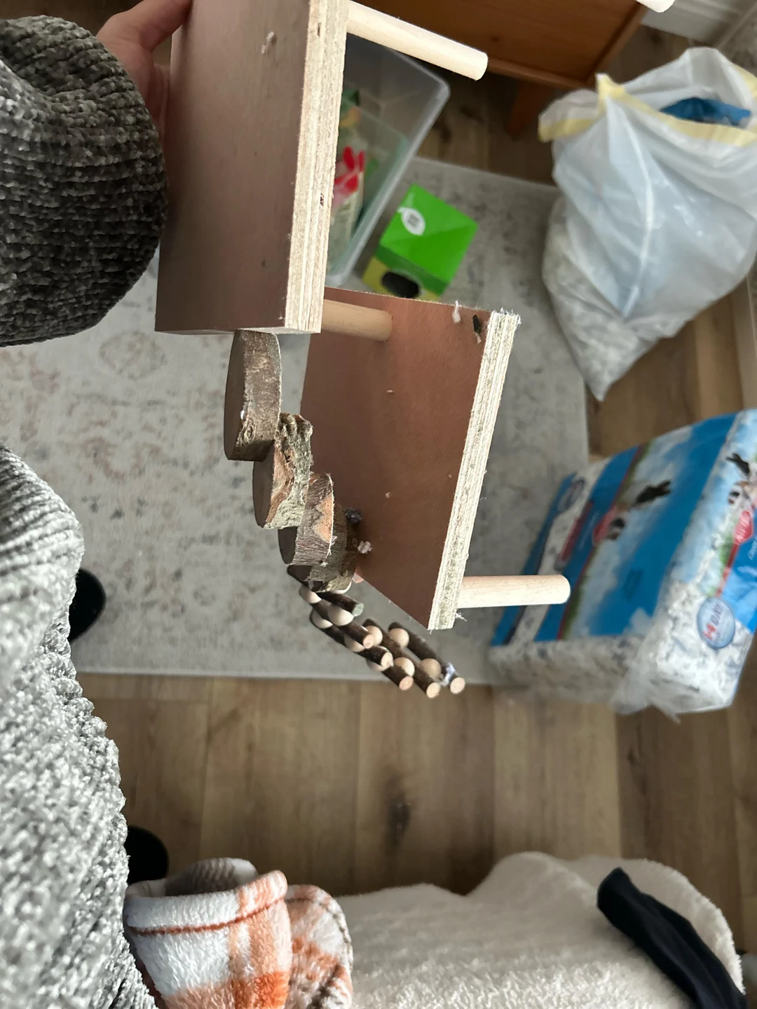 Is this mold? | Scrolller