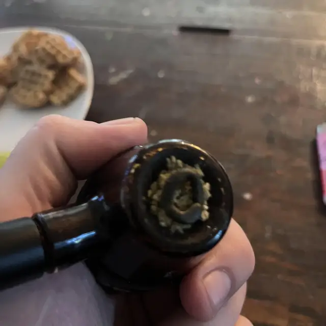 Good morning hash | Scrolller