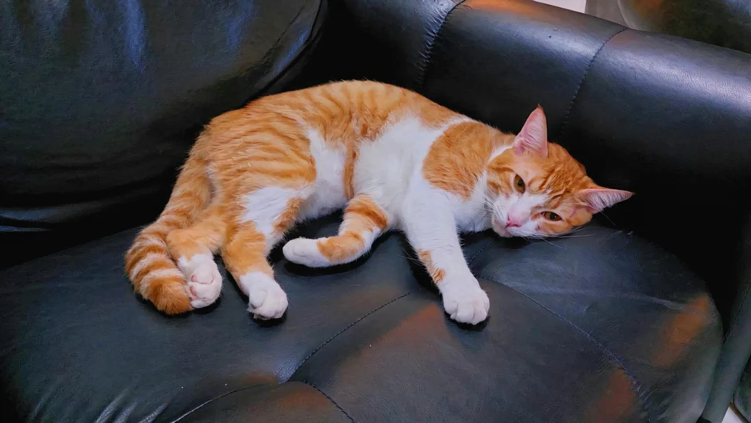 Total comfort | Scrolller