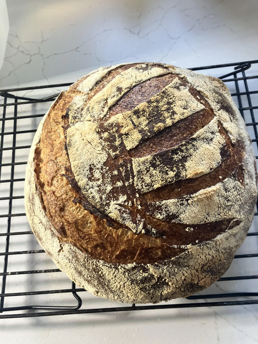 Rustic Dutch Oven Loaf | Scrolller