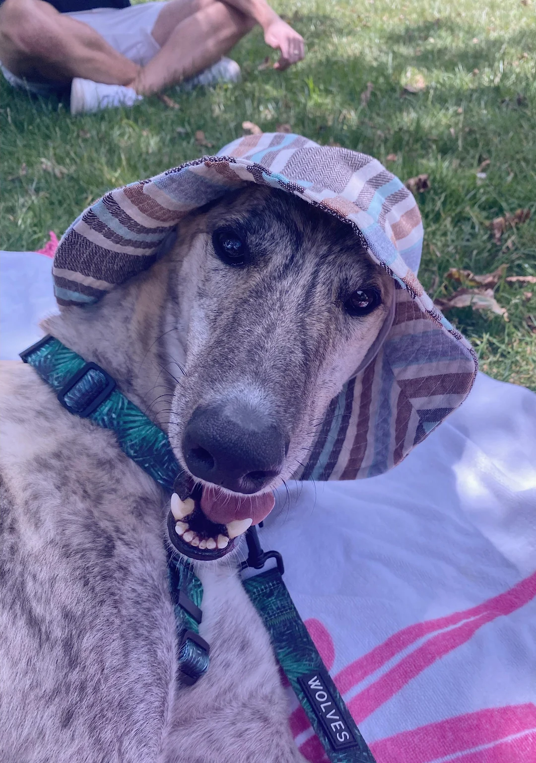 Goofy boy 🤗 | Scrolller