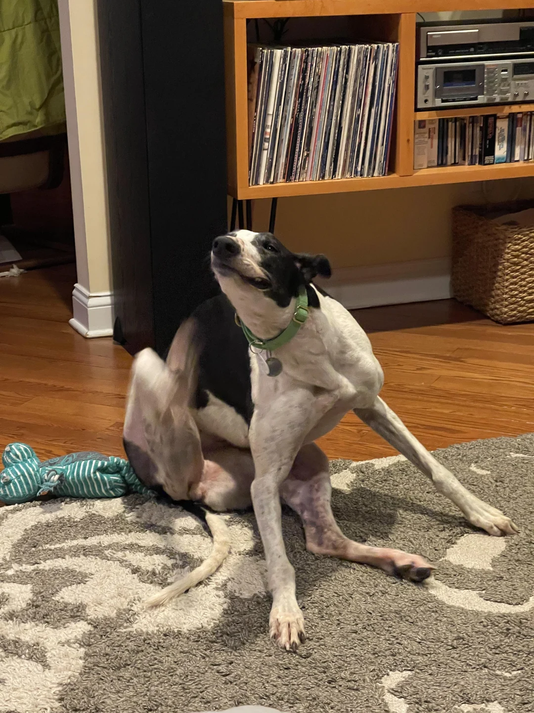 Sometimes you just have to scratch that itch | Scrolller