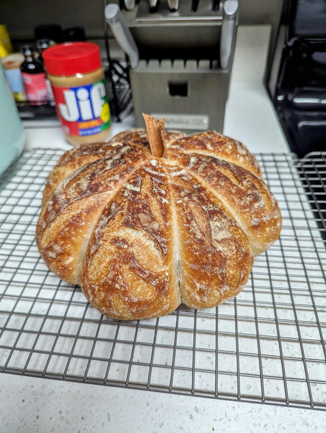 Pumpkin sourdough | Scrolller
