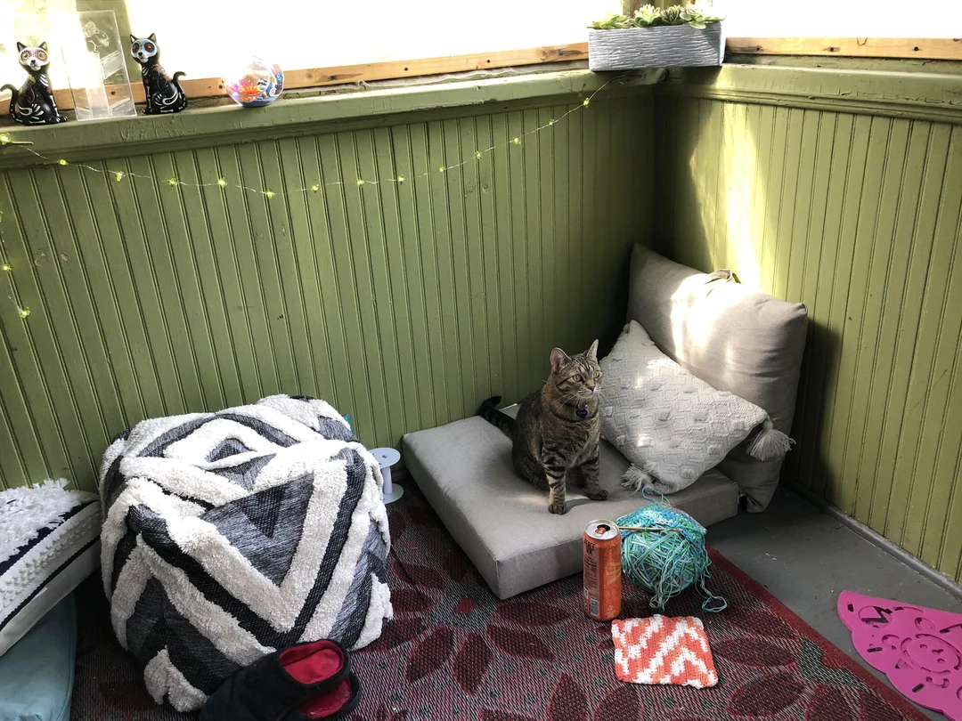 My cozy spot on the front porch. And Rizzo. | Scrolller