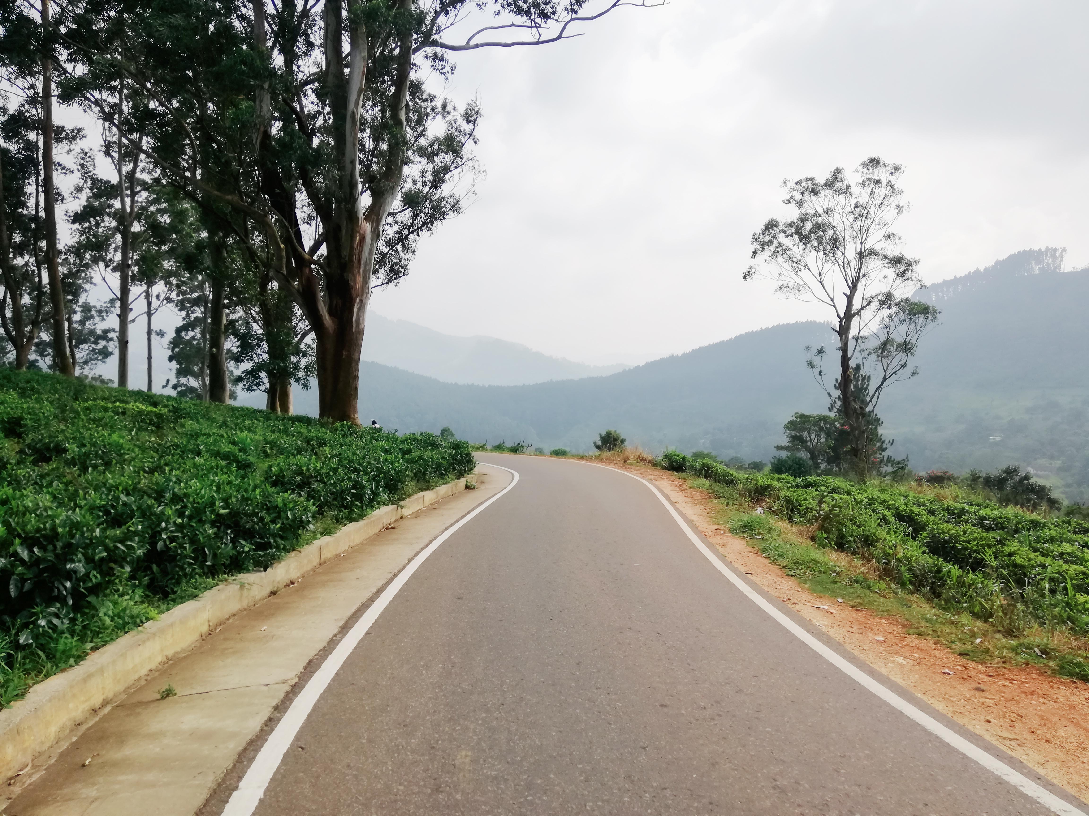 Upcountry Road Kandy Sri Lanka (OP) | Scrolller