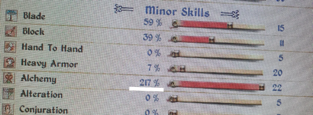 Skill progress over 100%? | Scrolller