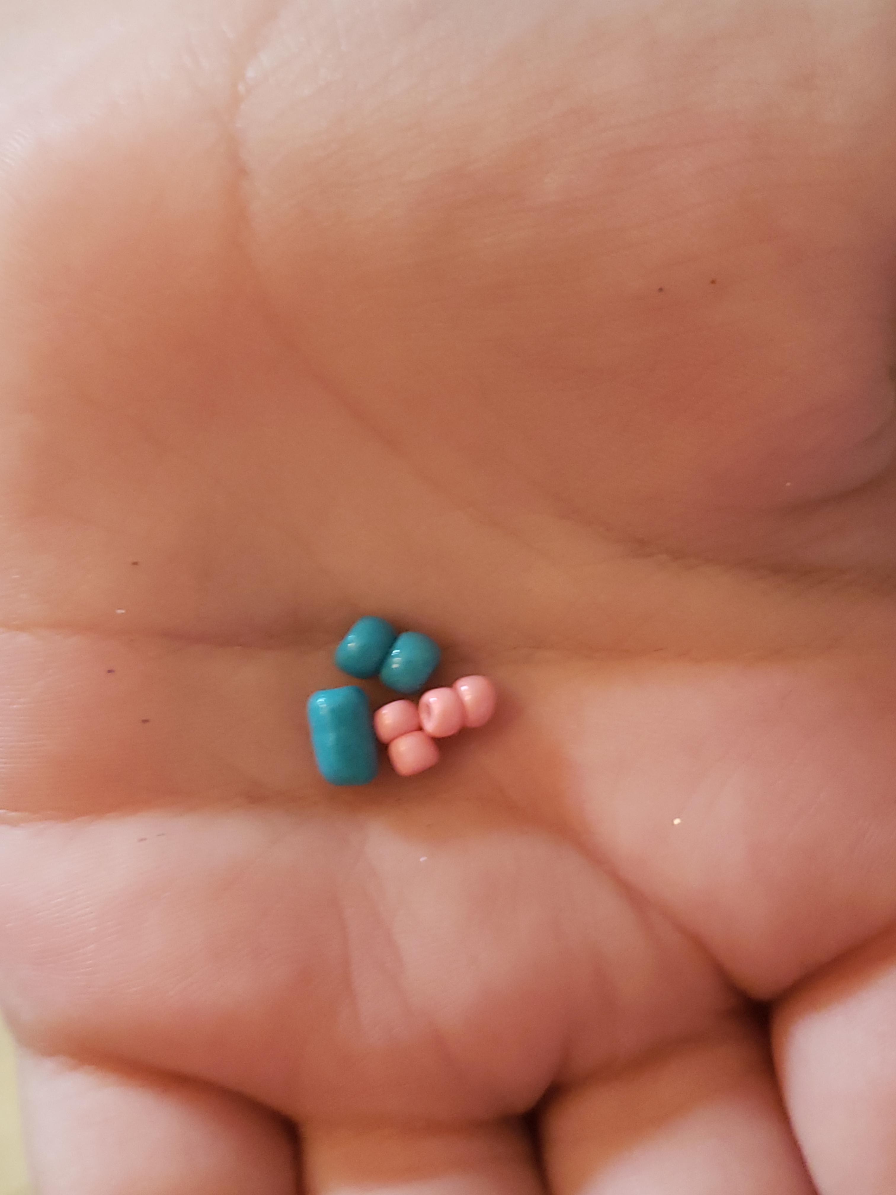 Forbidden nerds | Scrolller