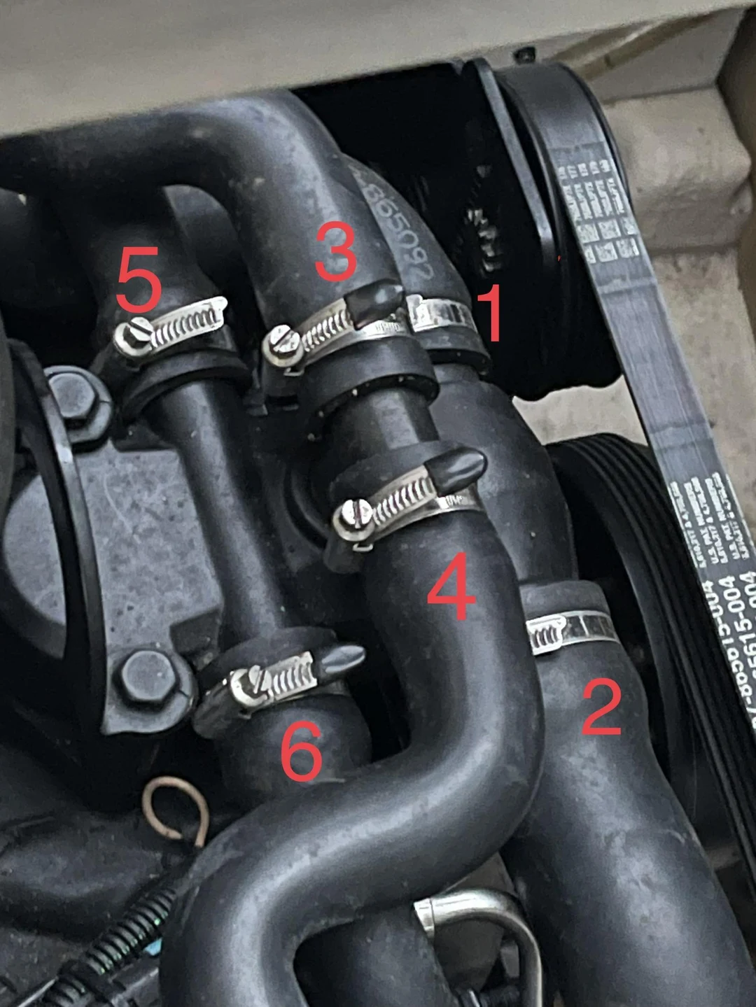 Which hose/antifreeze | Scrolller