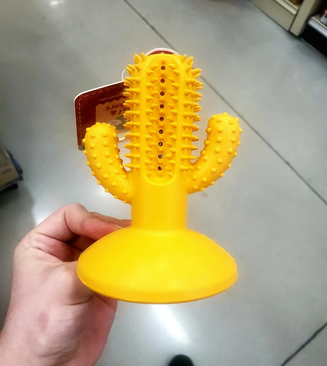 Everything is a dildo if it has a base | Scrolller