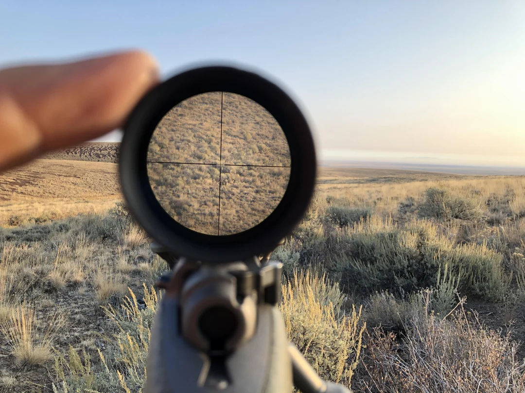 Buck I passed up in the scope. | Scrolller