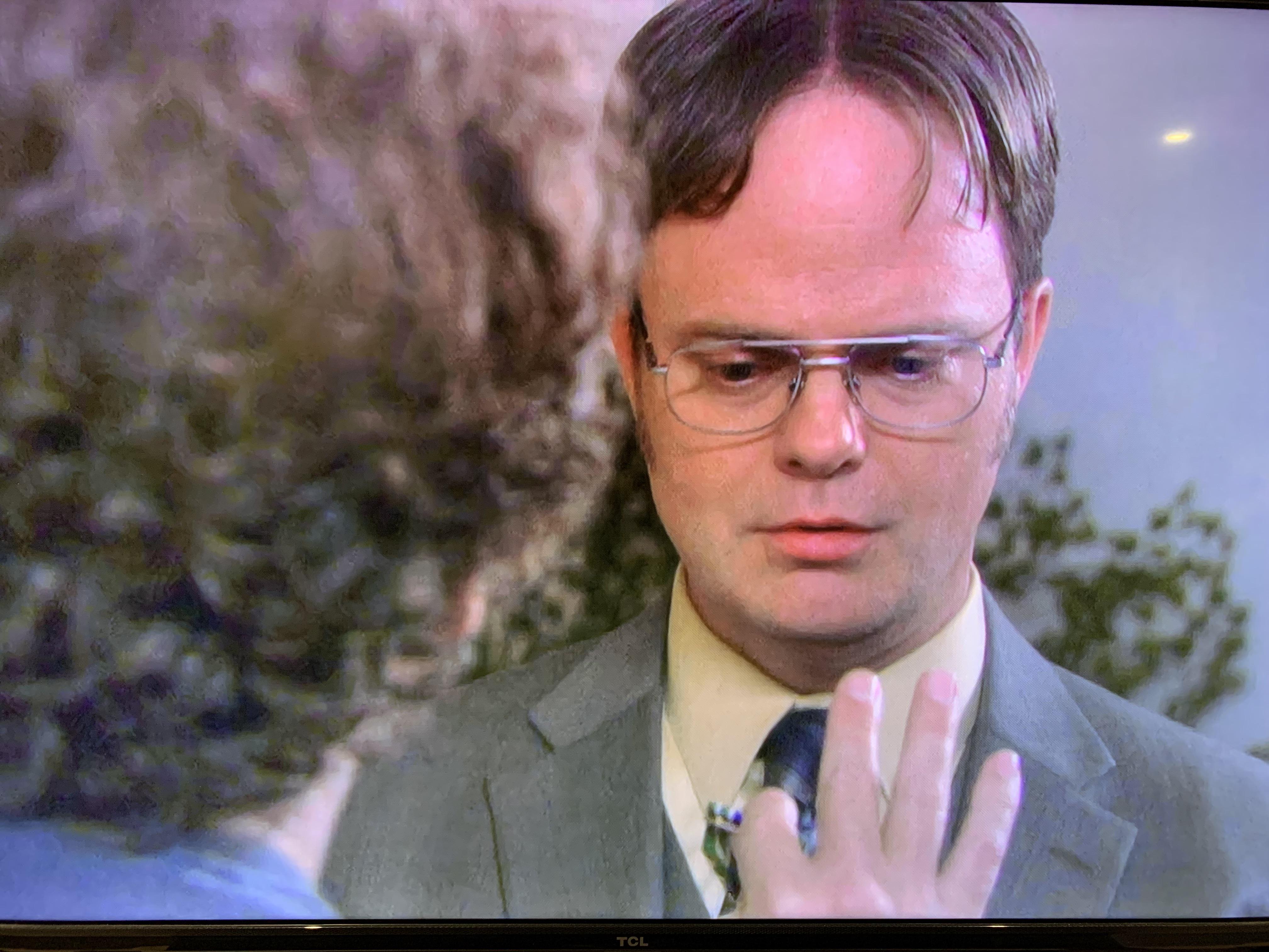 Discover more like DunderMifflin: Did Dwight see through Robert’s con ...