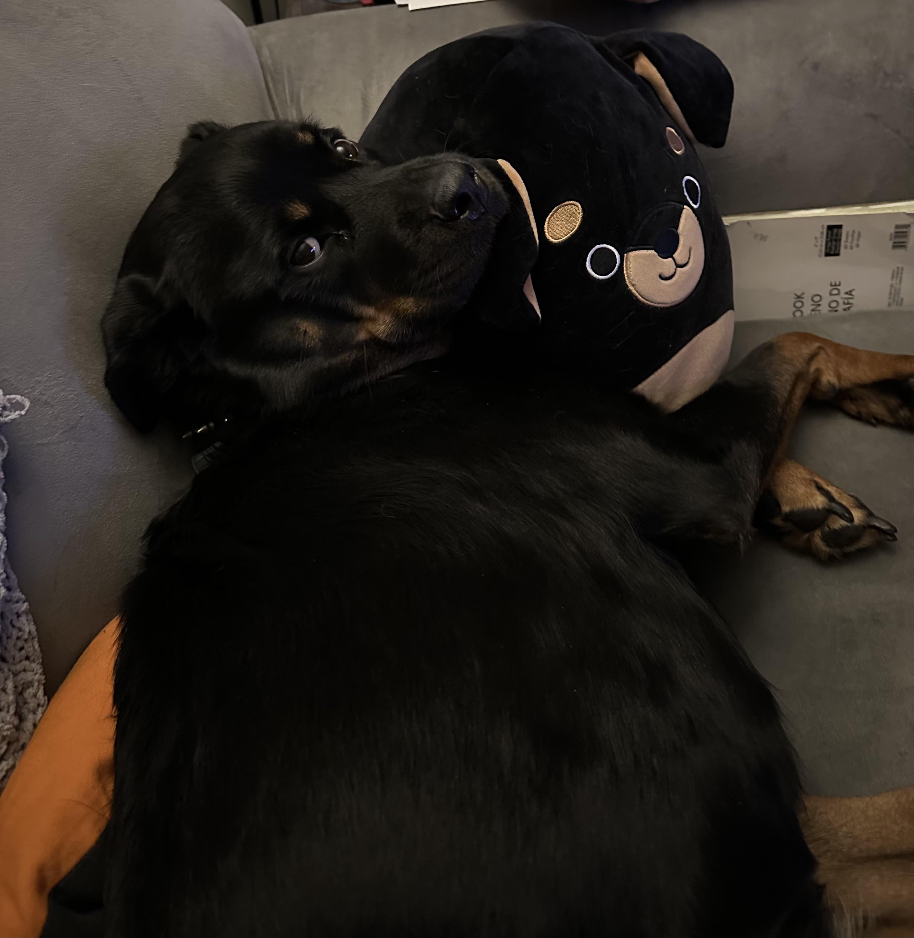 cuddling with her twin | Scrolller