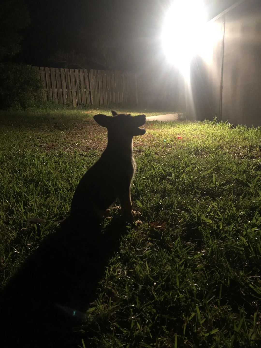 Potty training. The long game. | Scrolller