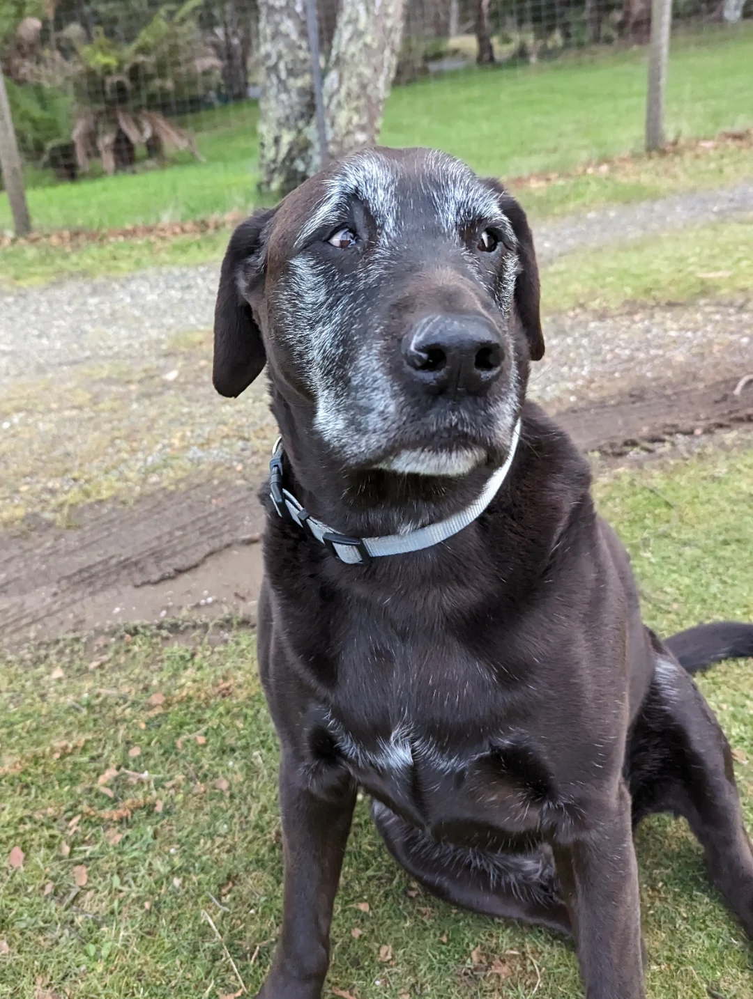 First time I've ever captured him cross-eyed | Scrolller