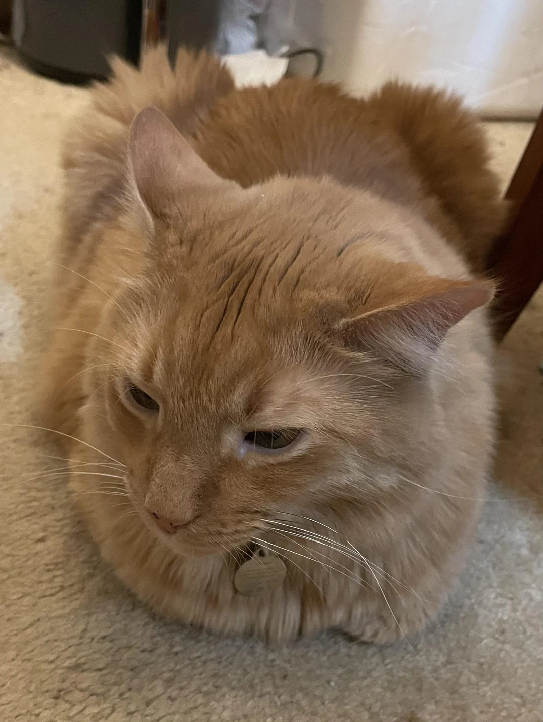 Gingerbread loaf | Scrolller