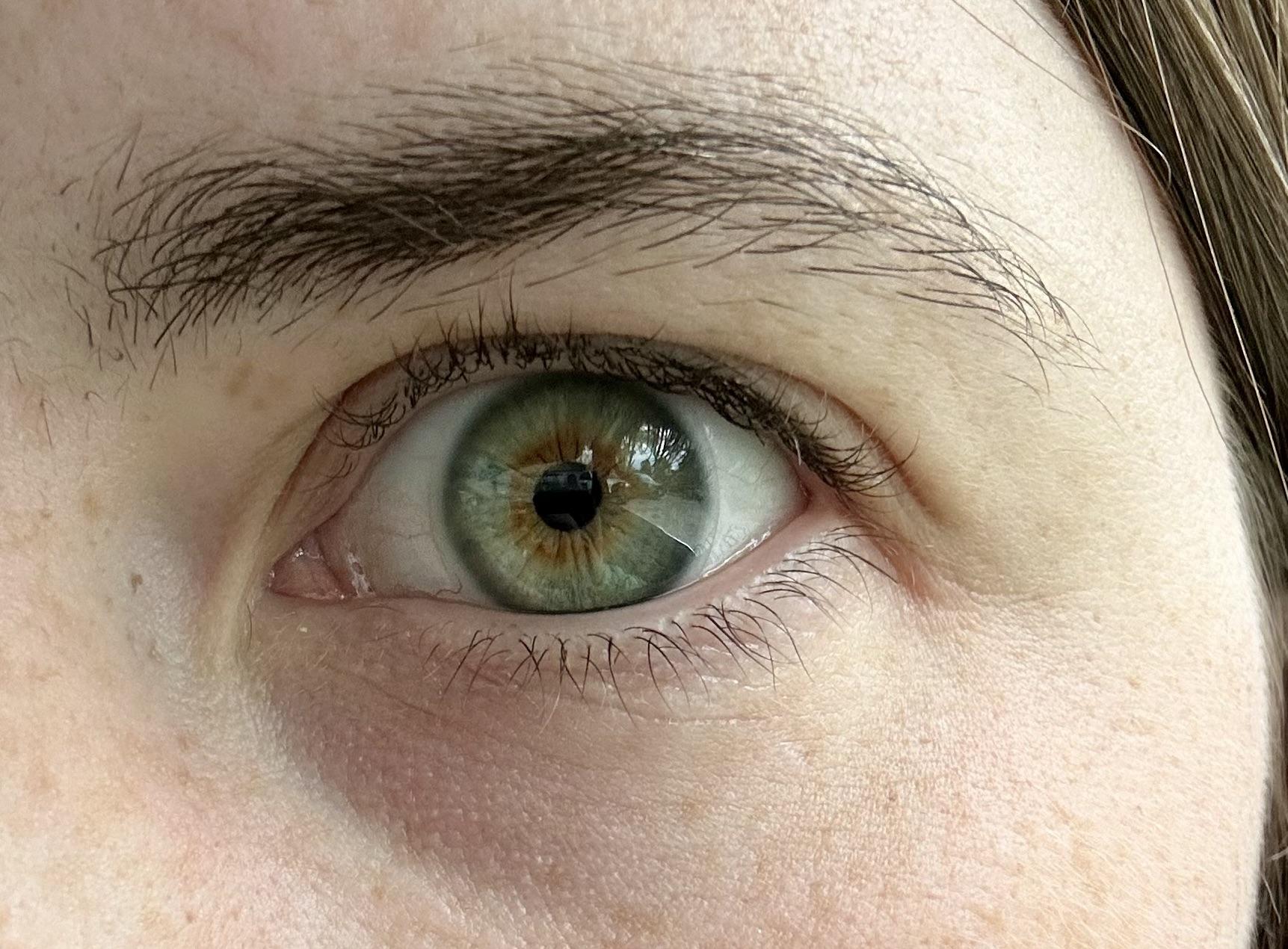 Genuinely wondering because it’s a bit confusing! | Scrolller