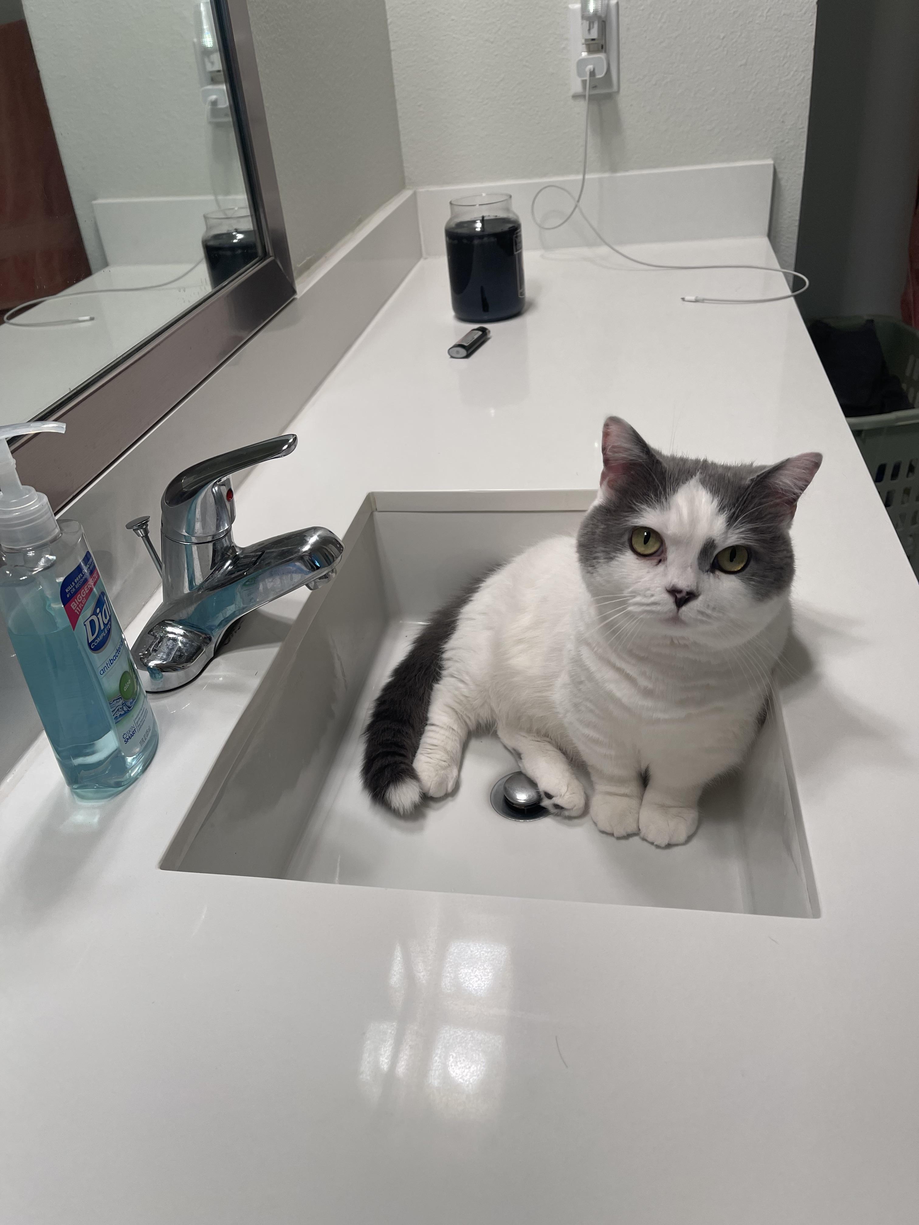 Daily dose of aww | Scrolller