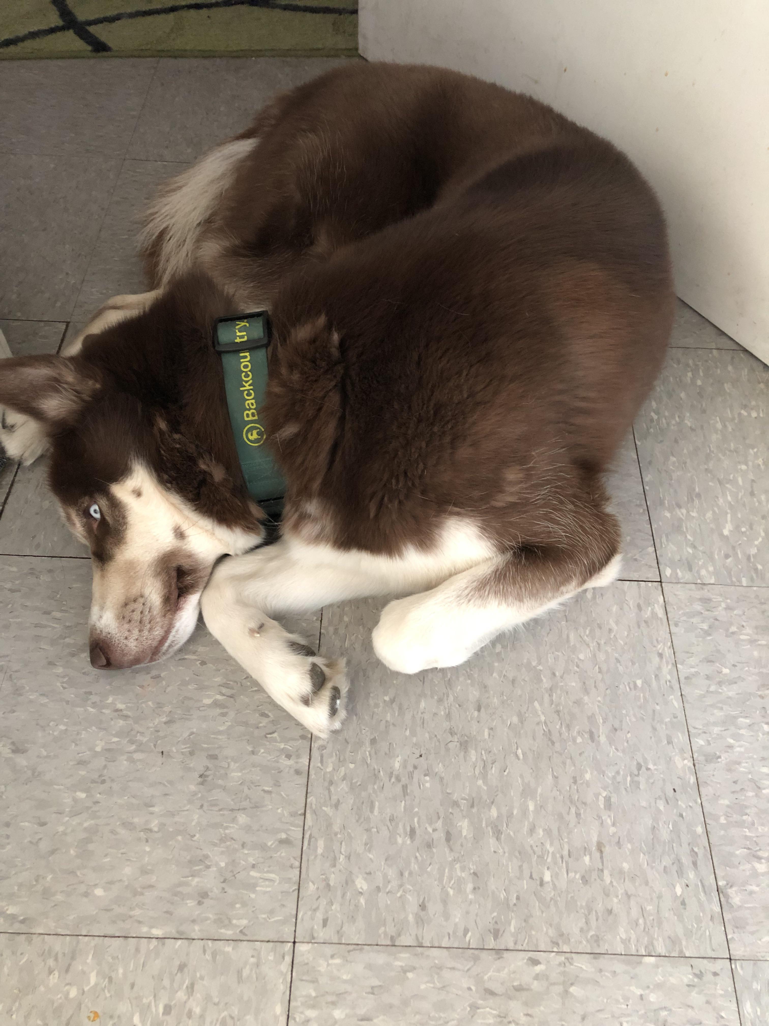 How Is This Comfortable Scrolller