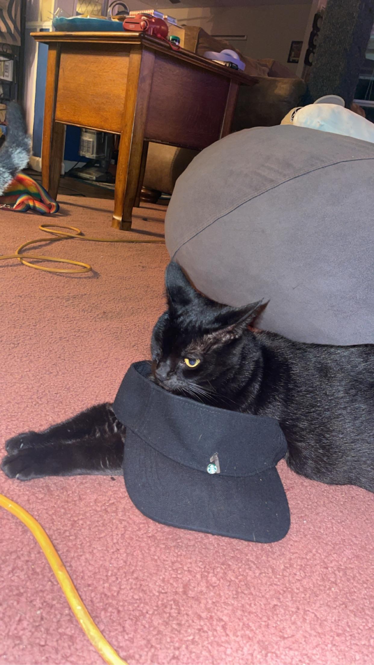 Introducing my pirate void | Scrolller