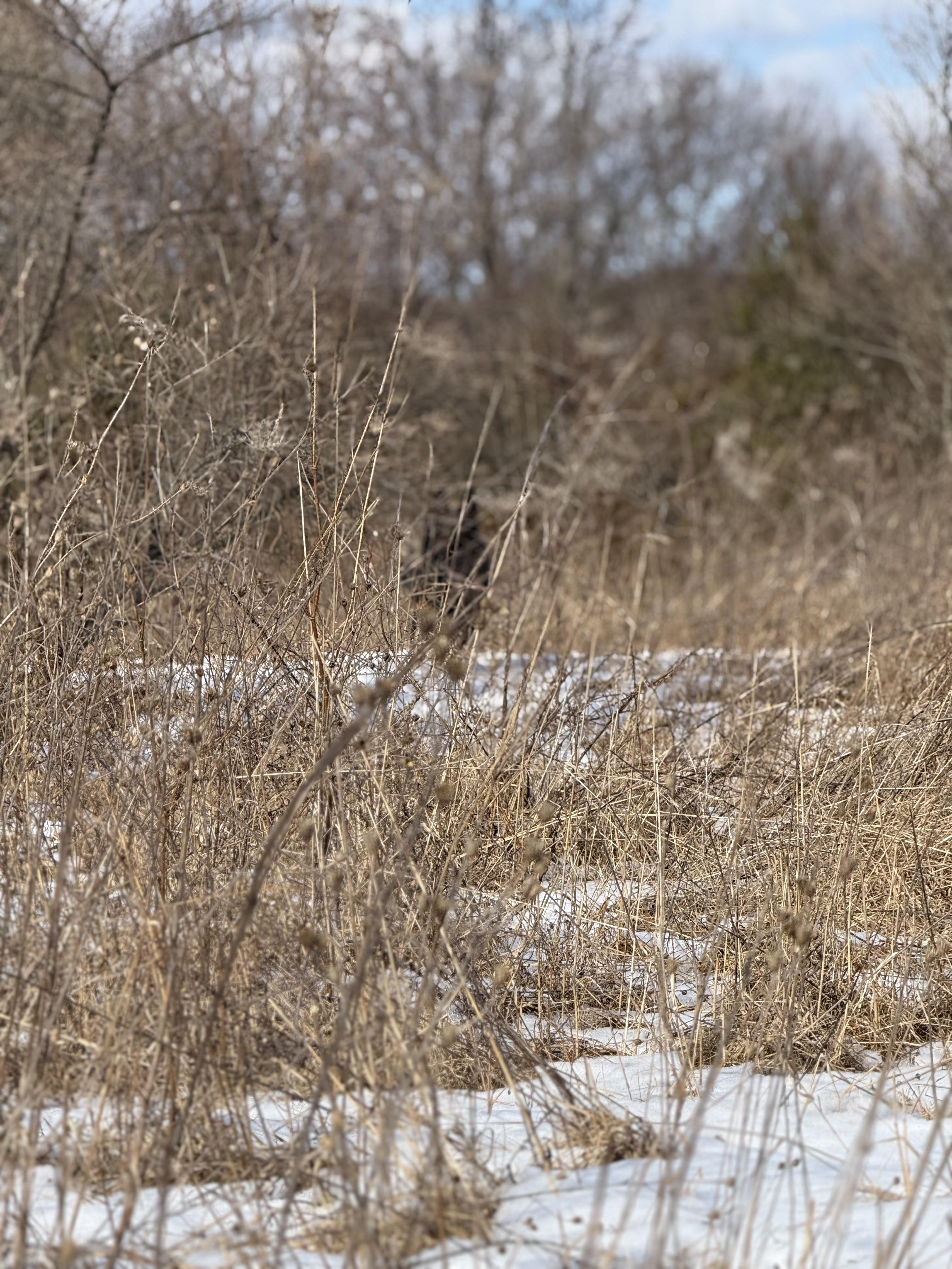 Action shots | Scrolller