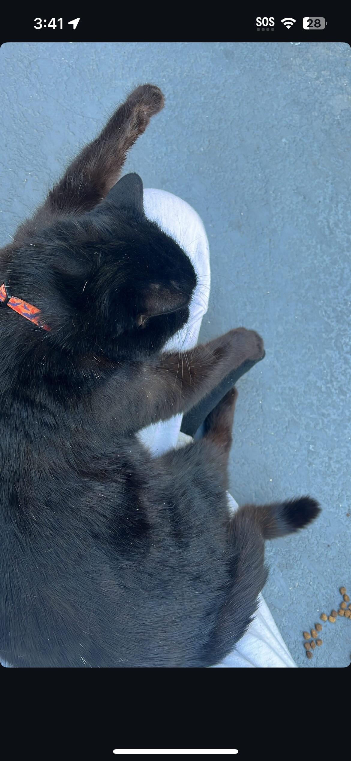 Abandoned Void | Scrolller