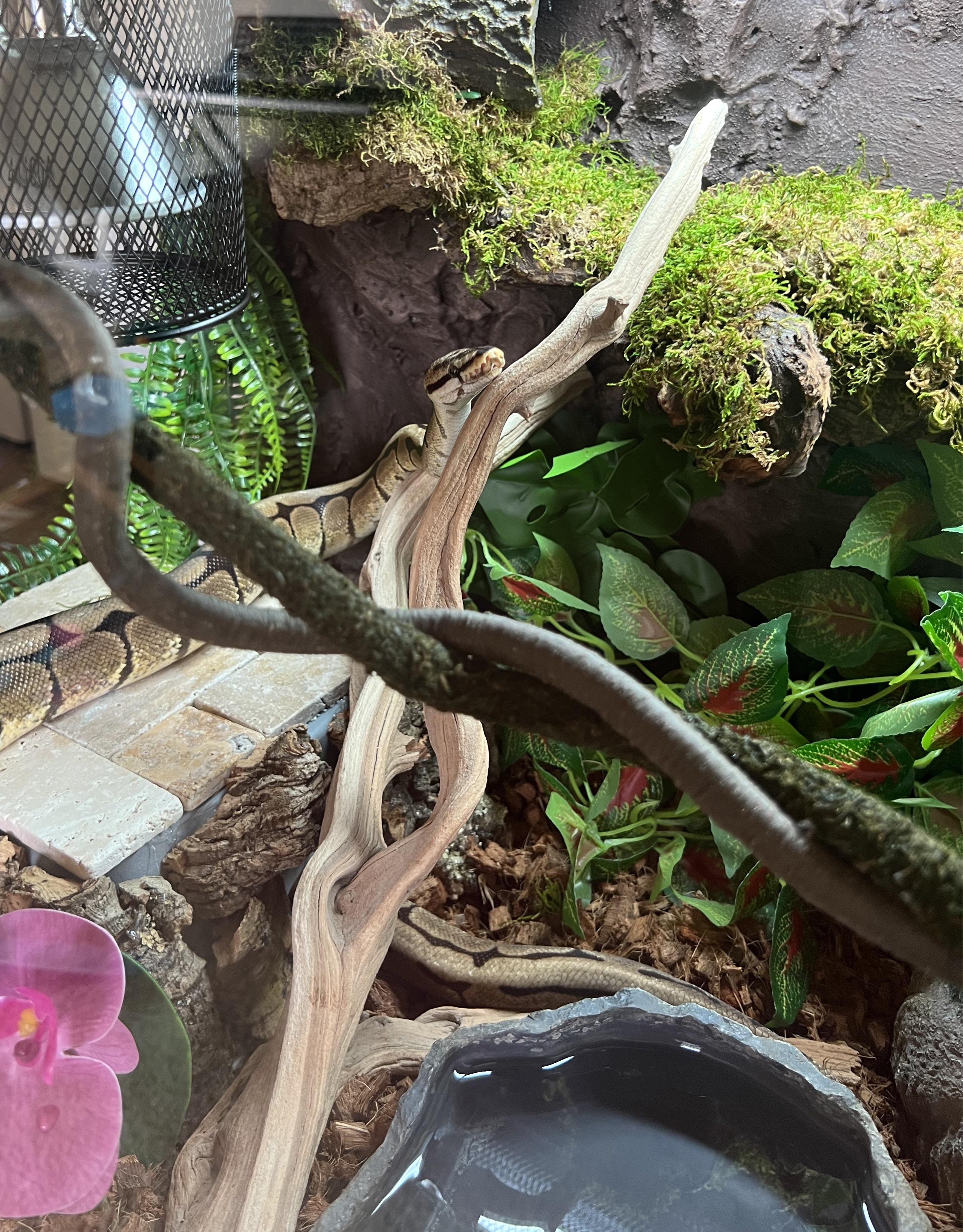 New Enclosure Build! | Scrolller